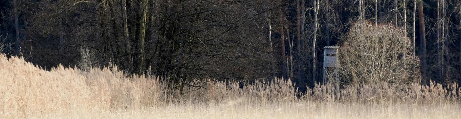 Hunting – Page – Field & Stream
