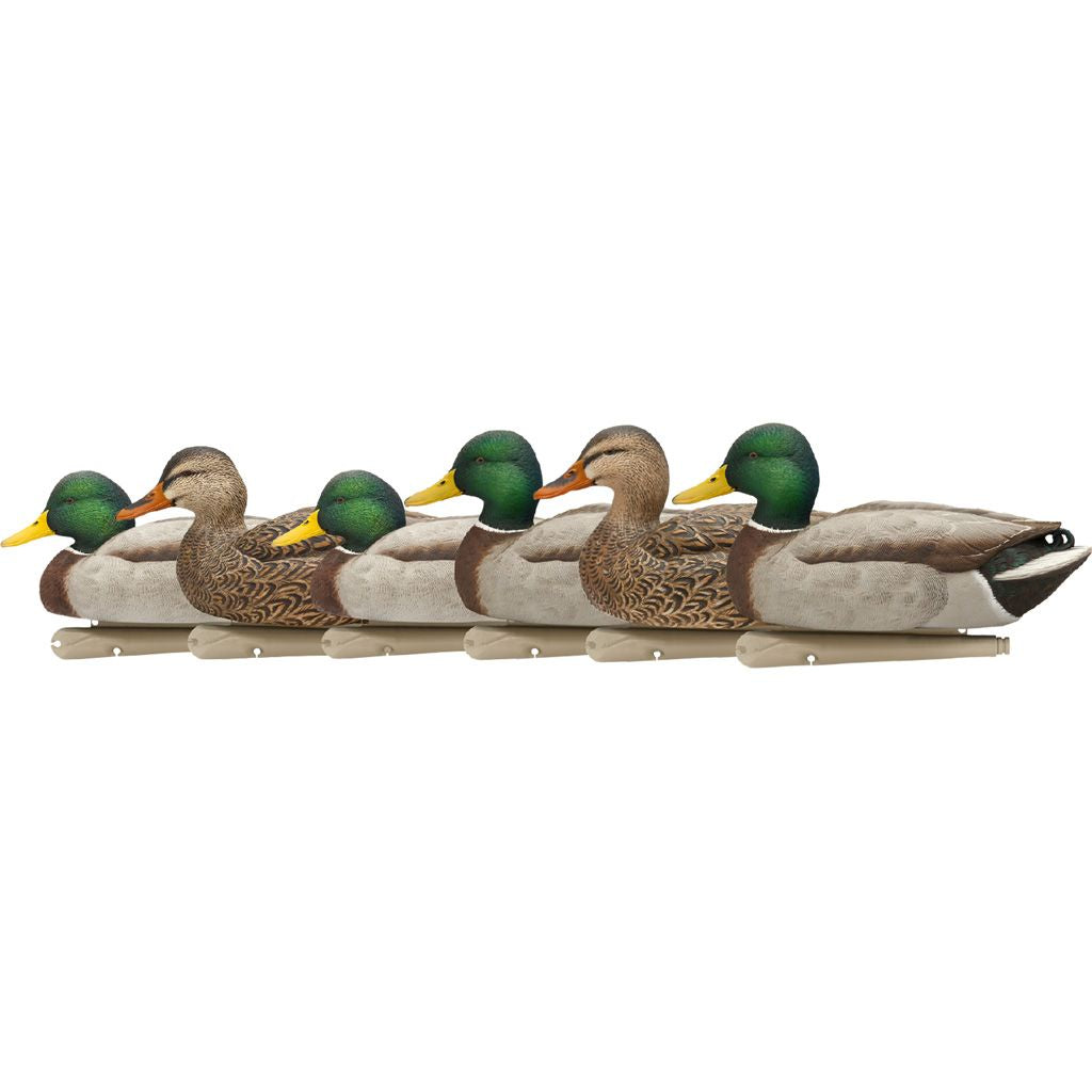 Avian X Top Flight Open Water Mallard Decoys 6 Pack – Field & Stream
